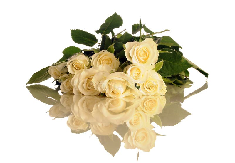 Witte rozen stock afbeelding. Image of bezinning, boeket - 41746911