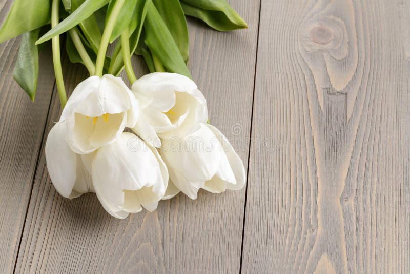 Witte Tulpen Op Rustieke Houten Lijst Stock Foto - Image of dank, april ...