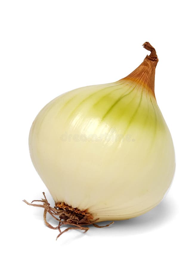 Witte Ui stock foto. Image of geïsoleerd, vers, enkelvoudig - 5349272