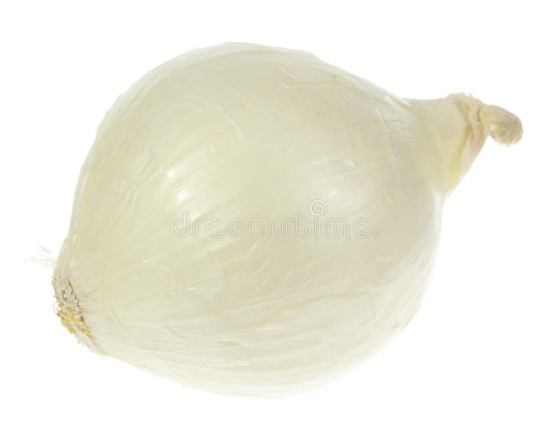 Witte Ui stock afbeelding. Image of niemand, plantaardig - 18159647