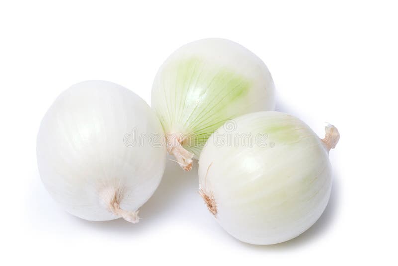 Witte ui stock foto. Image of gezond, smakelijk, rijp - 3141132
