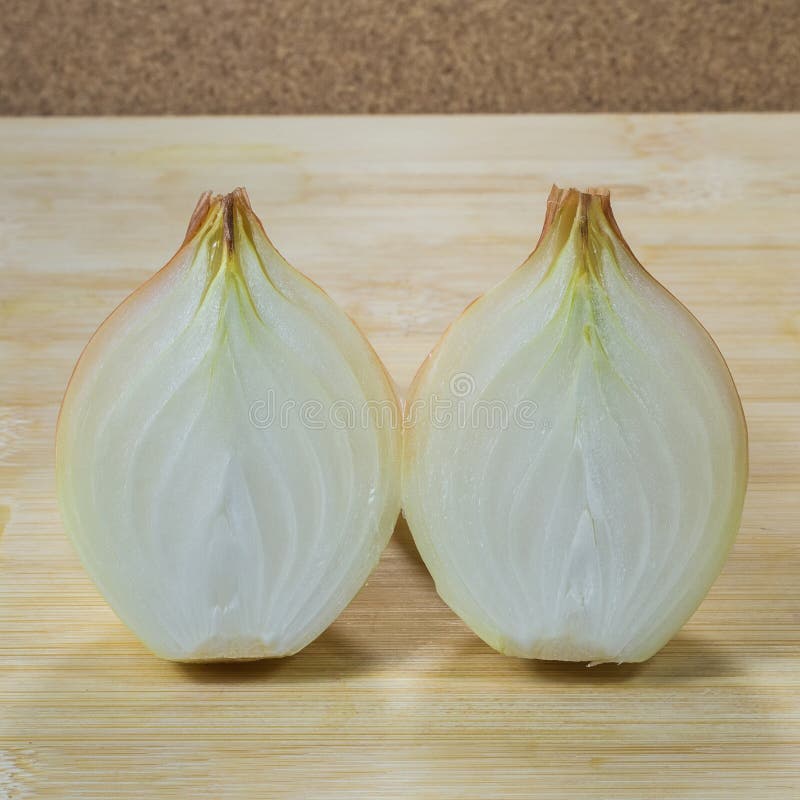 Witte ui op het tuinbed stock afbeelding. Image of groei - 42513459