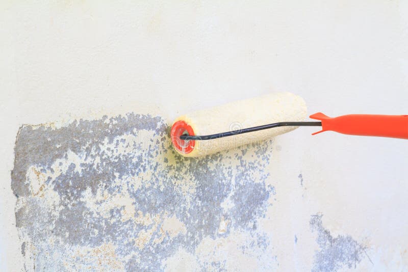 Witte verf en rol stock foto. Image of verbetering, binnenlands - 41560056