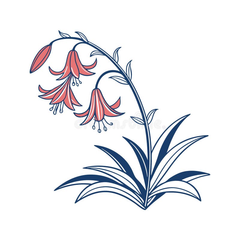 Wizard Flower Illustration with Bold Outline Stock Image - Illustration ...