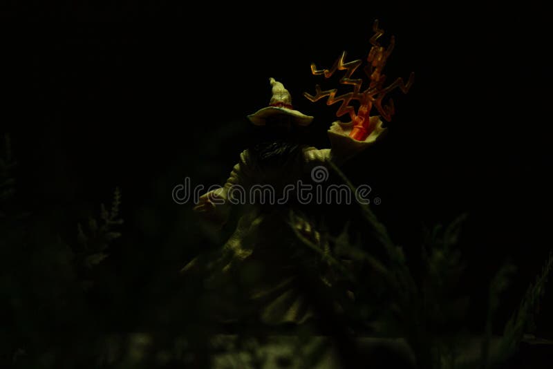 Wizard in a jungle stock photo. Image of elderly, chrystal - 179967760