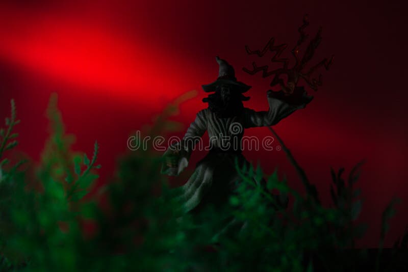 Wizard in a jungle stock image. Image of portrait, magical - 179967951