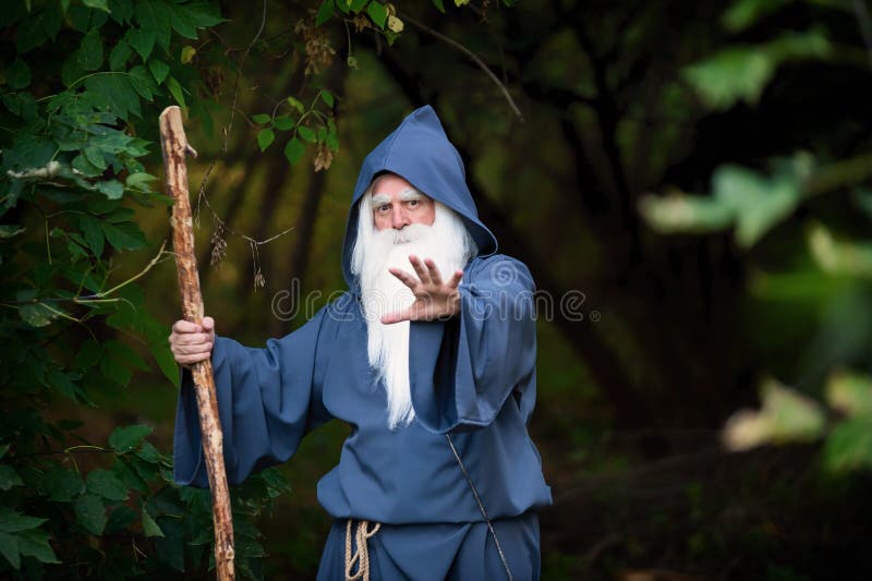 A Wizard with a Long Gray Beard Casts a Spell in a Dense Forest Stock ...