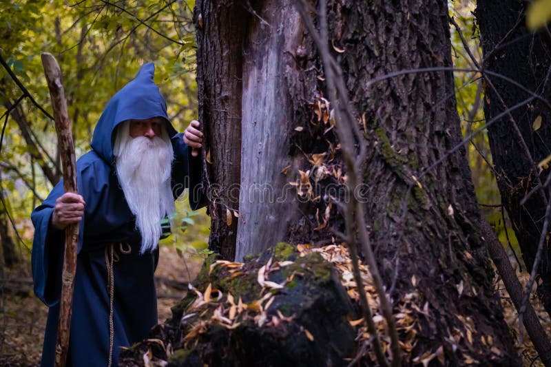 Deep Forest Monk Stock Photos - Free & Royalty-Free Stock Photos from ...