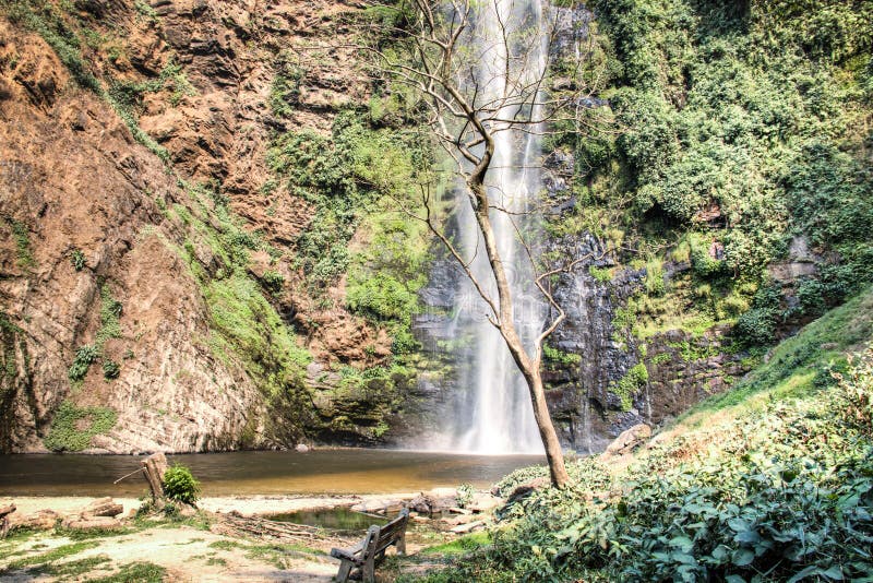 Wli-Wasserfall in Der Volta-Region in Ghana Stockbild - Bild von ...