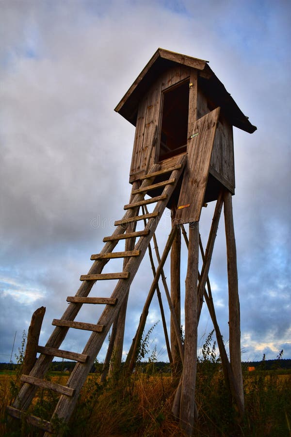 Wodden house on high legs stock photo. Image of tree - 228952474