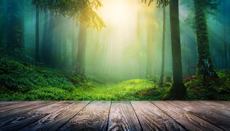 Wodden Pathway Stock Illustrations – 6 Wodden Pathway Stock Illustrations, Vectors & Clipart ...