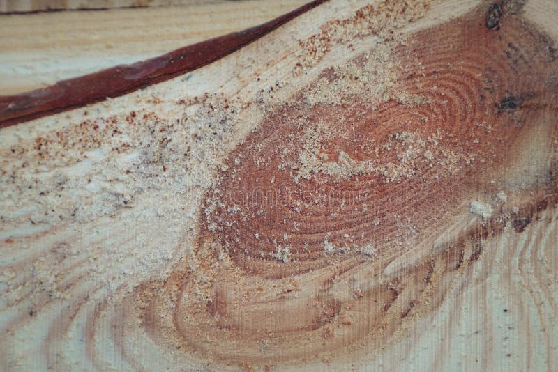 Wodden Pattern Wood Plank Wall Texture Background Stock Photo - Image ...