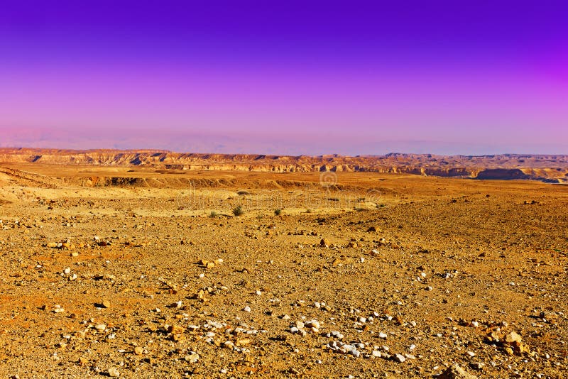 Woestijn stock afbeelding. Image of avond, droog, reserveren - 37956391