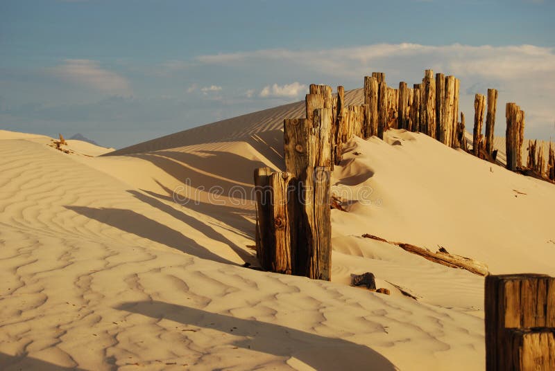 Woestijn stock afbeelding. Image of hitte, warm, woestijn - 4336165