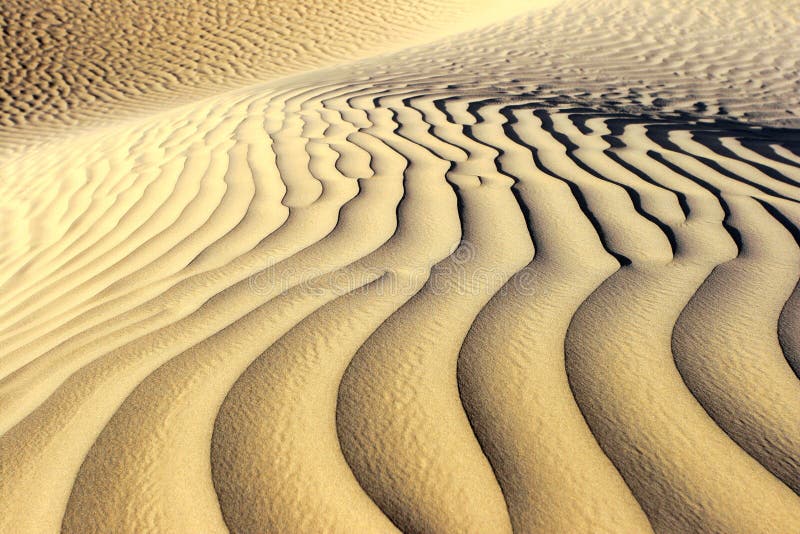 Woestijnen stock foto. Image of geel, rivier, naughty - 4791742