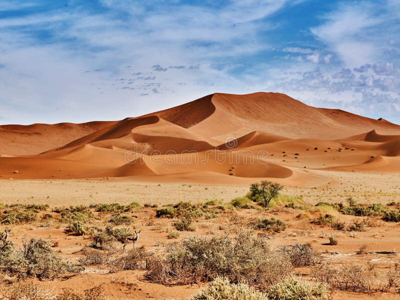 Duinen van Woestijn Namib stock afbeelding. Afbeelding bestaande uit ...