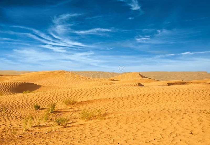 Woestijn van Noord-Afrika stock afbeelding. Image of hemel - 31081309