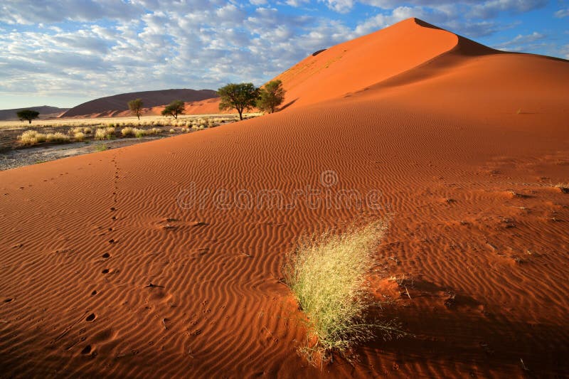 Landschap Van Het Gebied Van De Woestijn Van De Vallei De V.S. Van Het ...