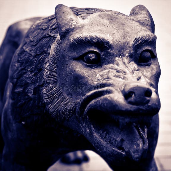 310 Wolf Typing Computer Stock Photos - Free & Royalty-Free Stock ...