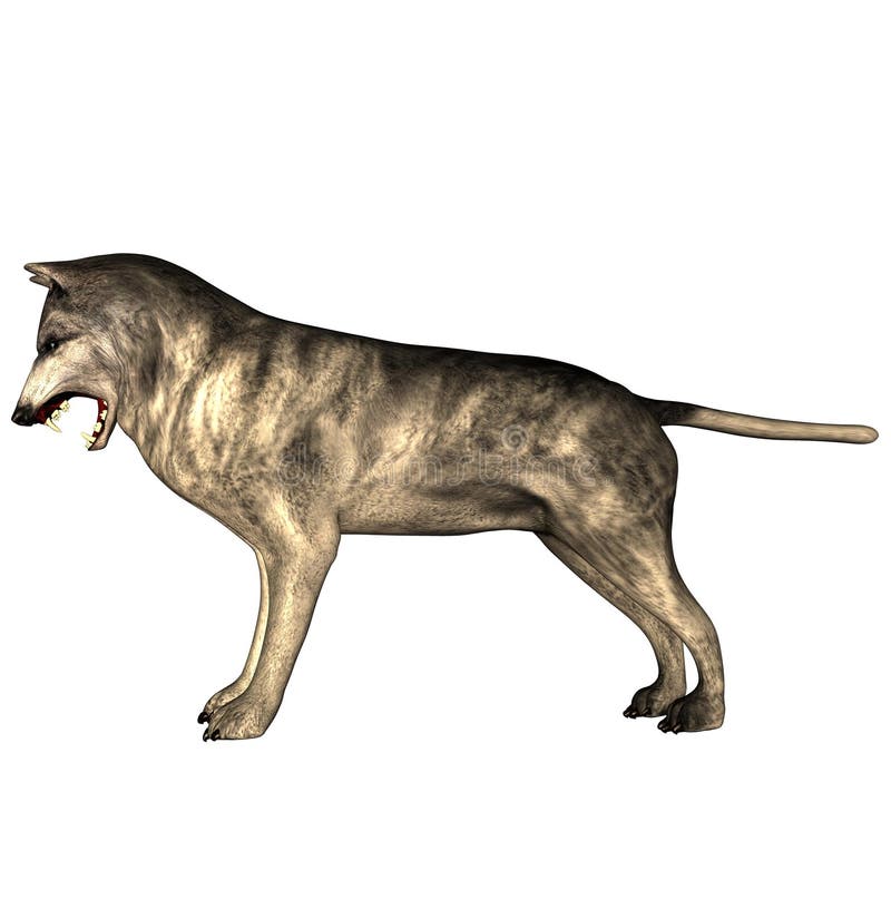 Wolf Free Stock Photos & Pictures, Wolf Royalty-Free and Public Domain ...