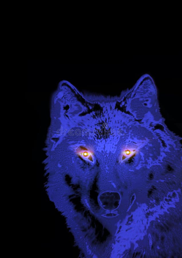 Black And Blue Wolf Wallpaper