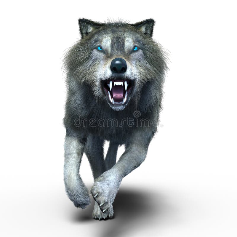 101 White Wolf Rendering Stock Photos - Free & Royalty-Free Stock ...