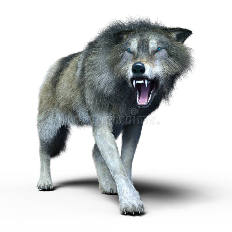 101 White Wolf Rendering Stock Photos - Free & Royalty-Free Stock ...