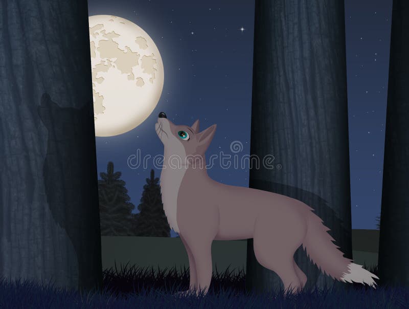 Wolf in the Forest at Night Stock Illustration - Illustration of trees ...