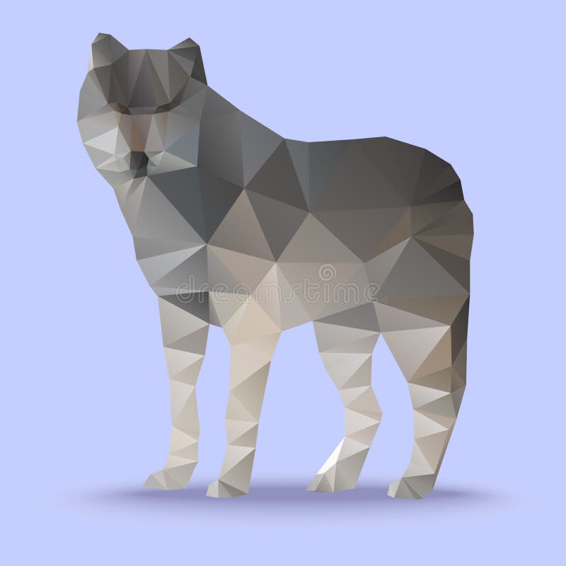 Wolf geometric polygon stock vector. Illustration of card - 50407240