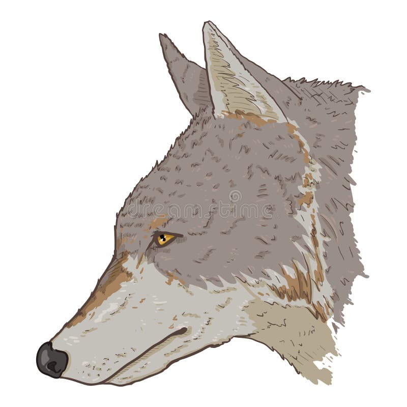 Wolf Head Side Profile Growling
