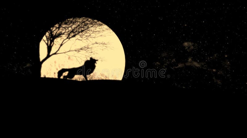 Illustration of Wolf Howling during Full Moon Night, Stock Illustration ...