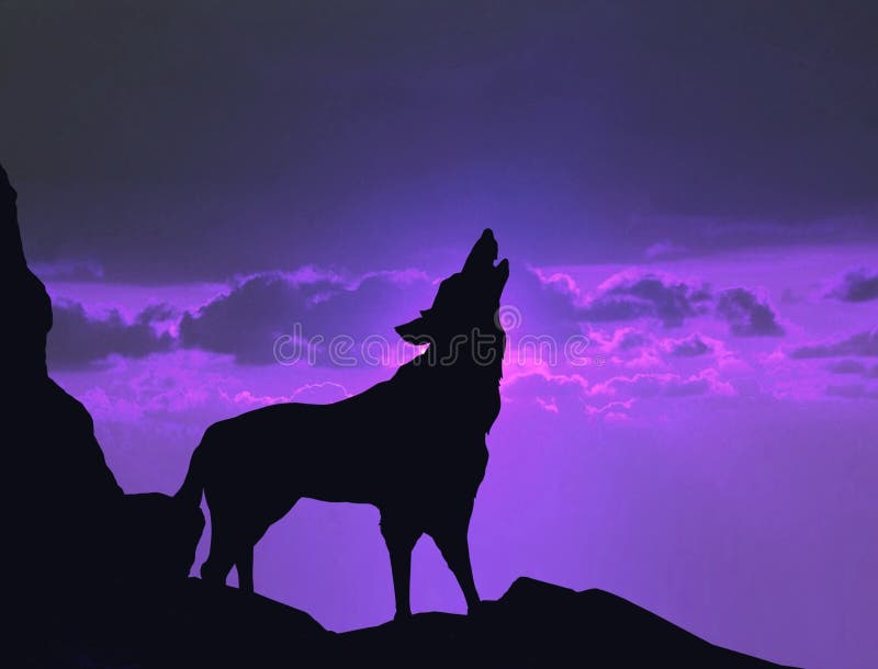 Wolf Howling on a Mountain Cliff Stock Photo - Image of black, tooth ...