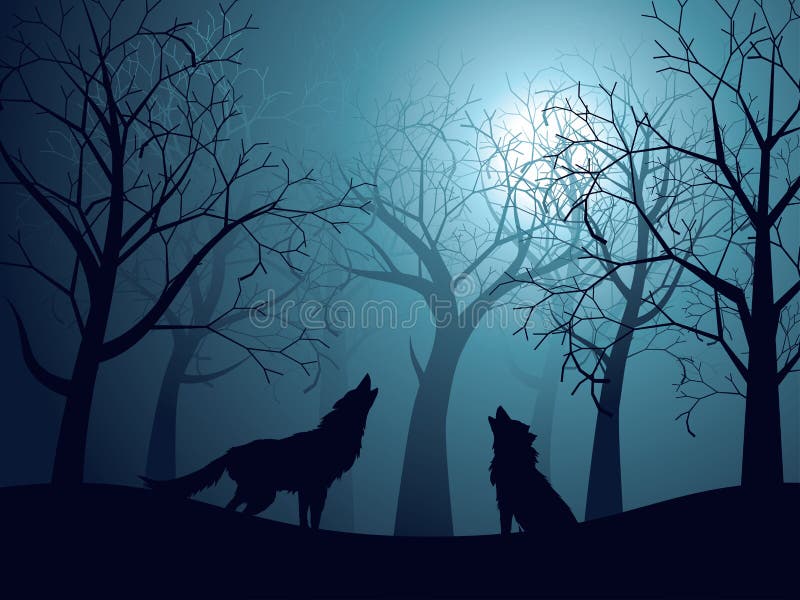 Dark Night Forest Wolves