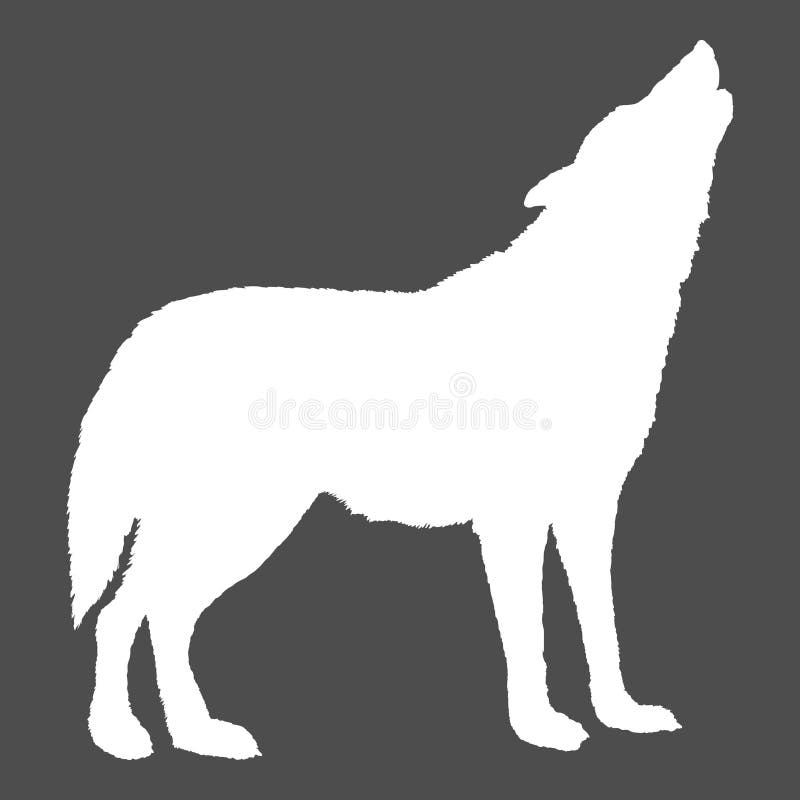 Wolf Howling Vector White Silhouette Illustration Stock Vector ...