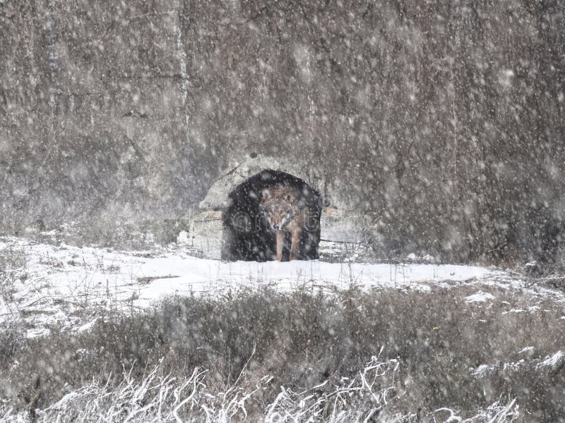 Caves Looking Out Stock Photos - Free & Royalty-Free Stock Photos from ...