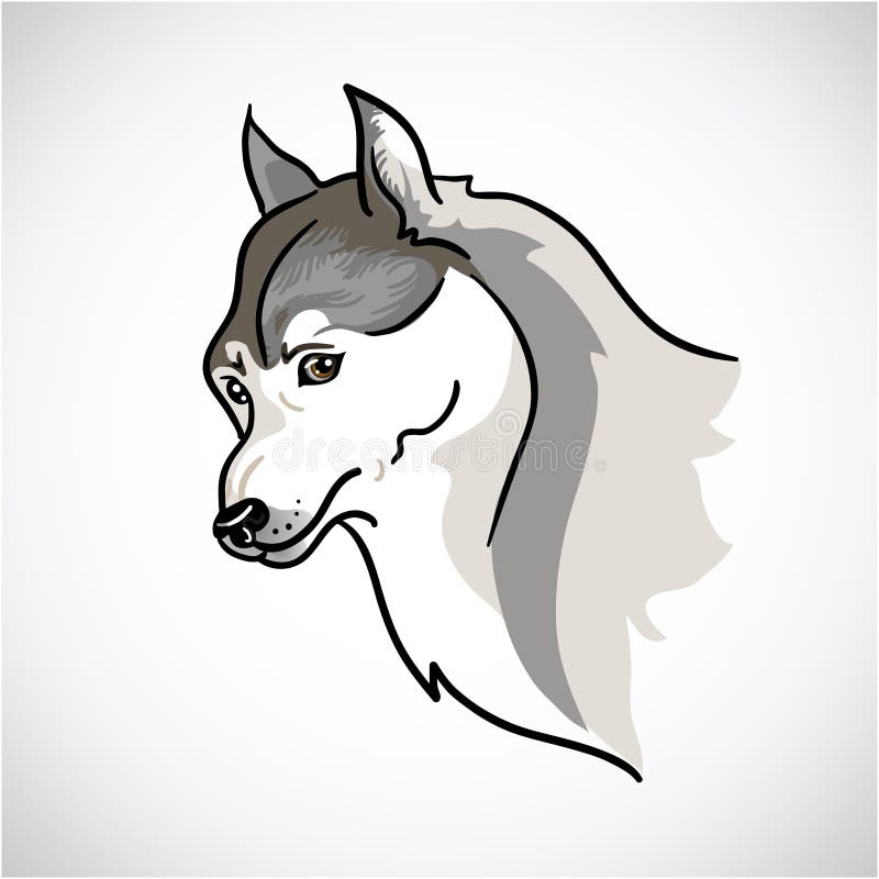 Drawing a wolf attacker stock vector. Illustration of drawing - 31614188