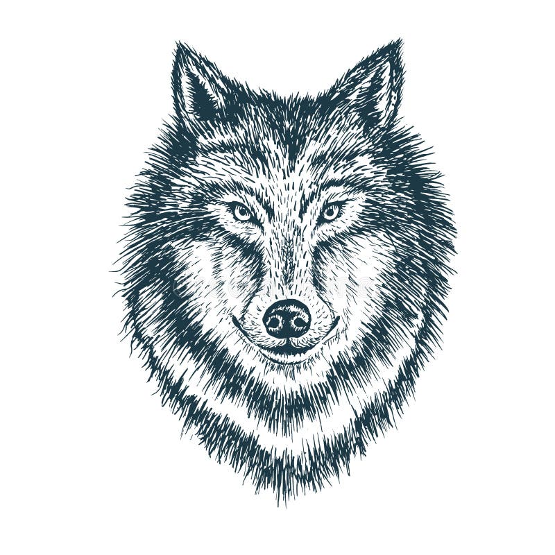 Graphical Wolf Stock Illustrations – 238 Graphical Wolf Stock ...