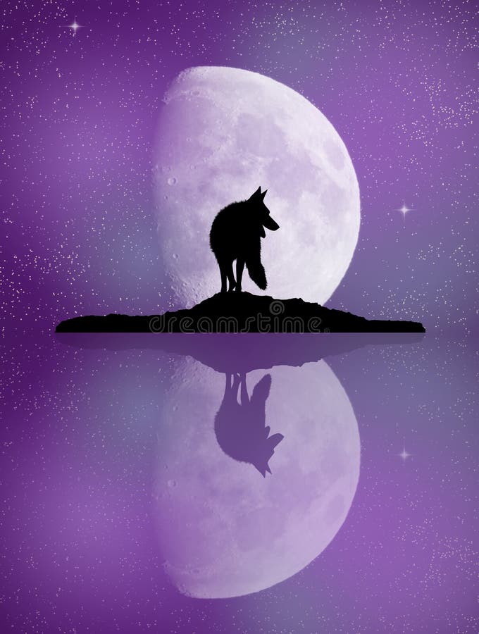 Wolf Reflection Stock Illustrations – 336 Wolf Reflection Stock ...