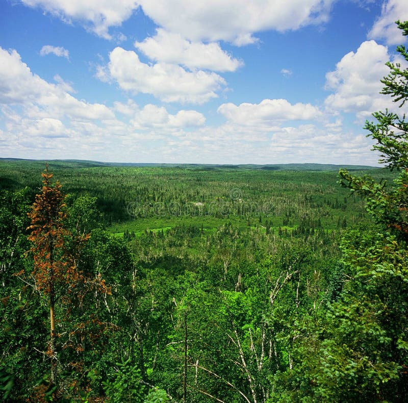 Wolf Ridge Overlook - Le Minnesota Photo stock - Image du ciel, forêt ...