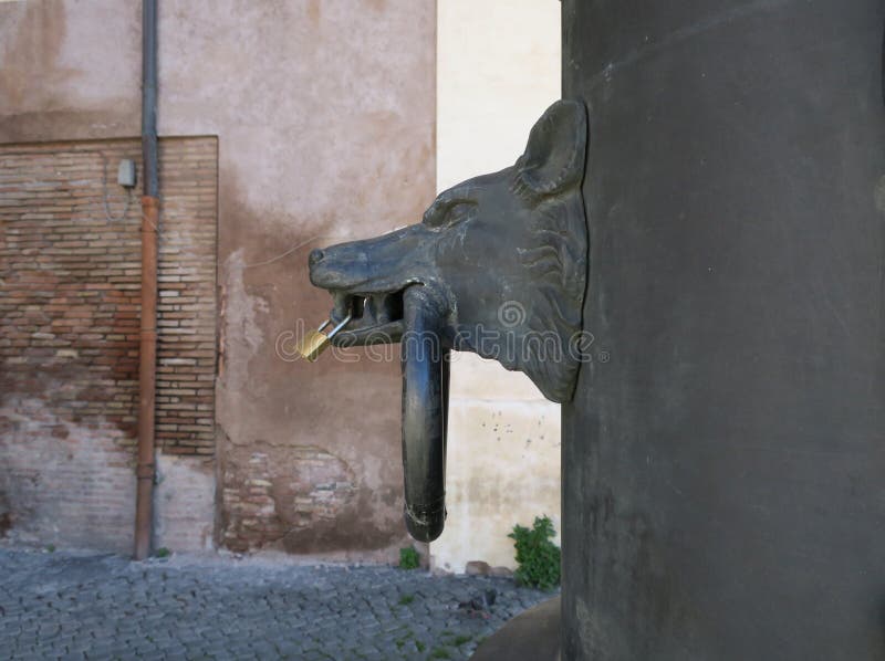 Wolf with a Ring and a Lock in it`s Beak Stock Photo - Image of beak ...