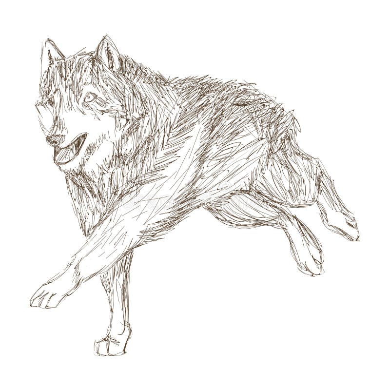 Wolf running sketch icon stock illustration. Illustration of danger ...