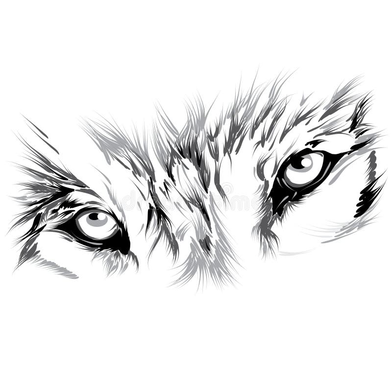 Wolf Outline Face Stock Illustrations – 3,202 Wolf Outline Face Stock ...