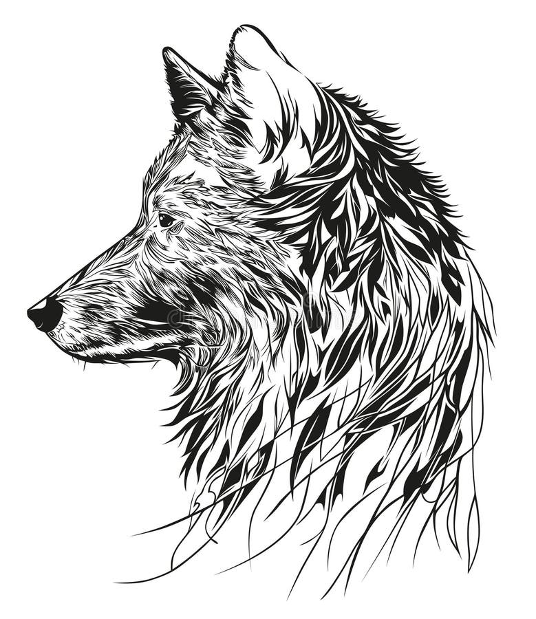 Wolf S Head. Drawing in Black Ink Stock Vector - Illustration of bird ...