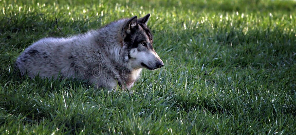 231,799 Seating Picture Stock Photos - Free & Royalty-Free Stock Photos ...