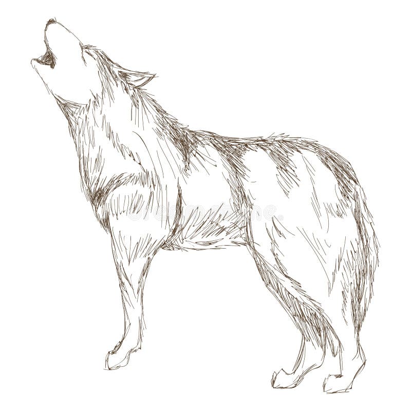 Wolf sideview sketch icon stock illustration. Illustration of stylized ...
