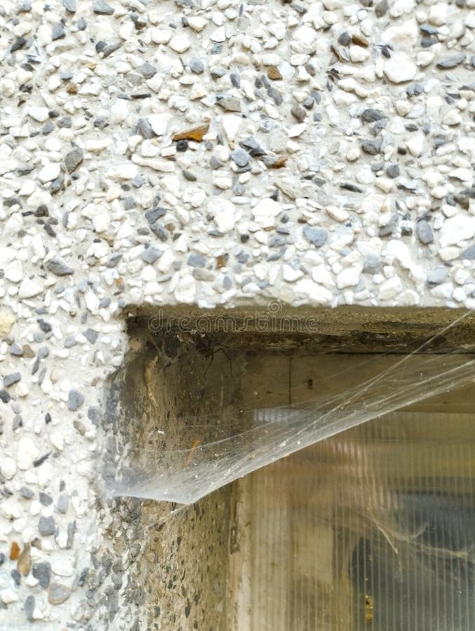 Wolf Spider Under the Edge of a Window Frame Stock Photo - Image of ...