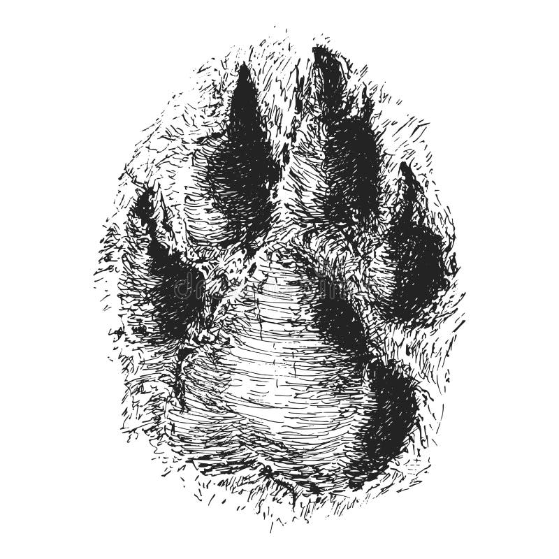 Wolf Track Tattoo Wolf Track Stock Illustrations – 4,496 Wolf Track