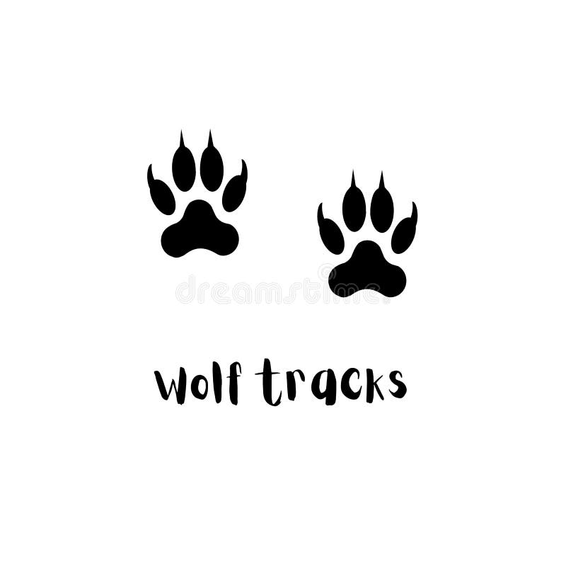 Wolf tracks stock illustration. Illustration of presentation - 268920611