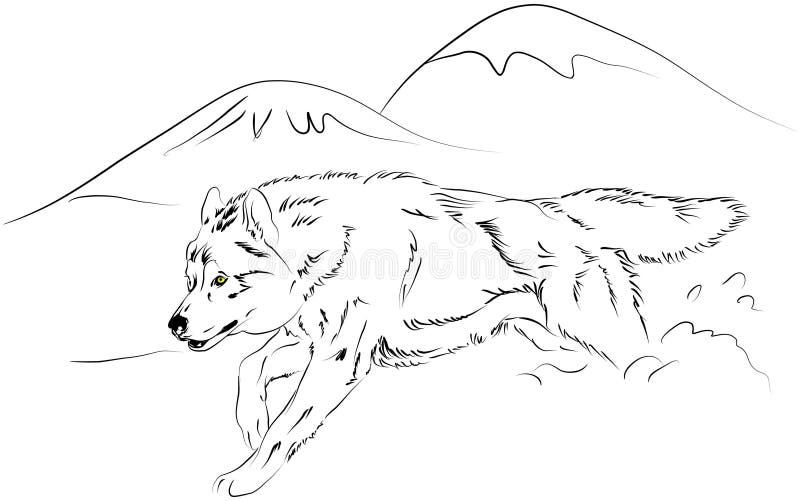 Wolf Jumping Drawing