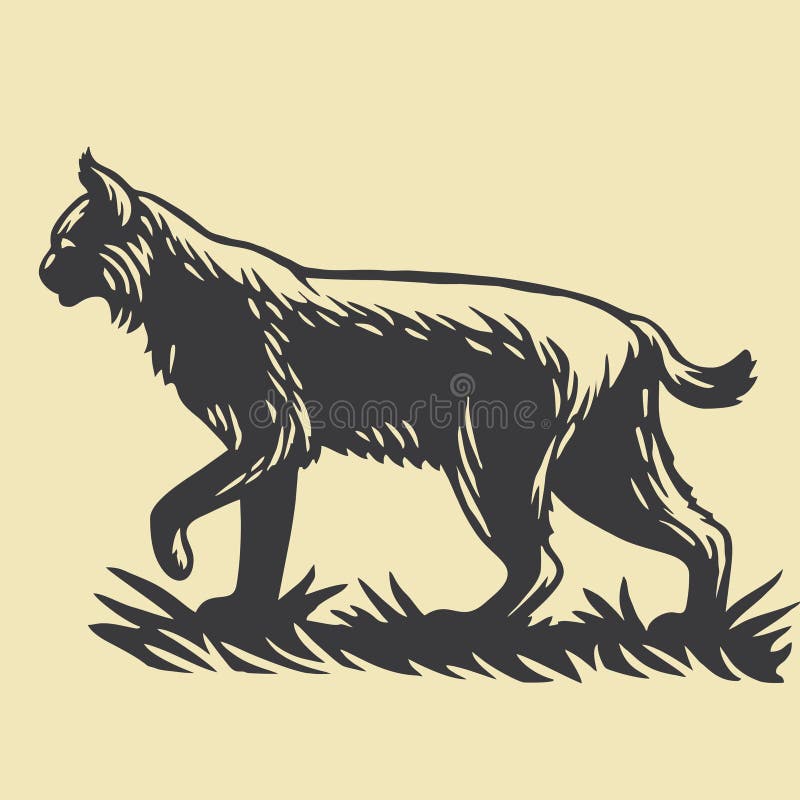 Wolf Vector Illustration Full Body Stock Vector - Illustration of wild ...